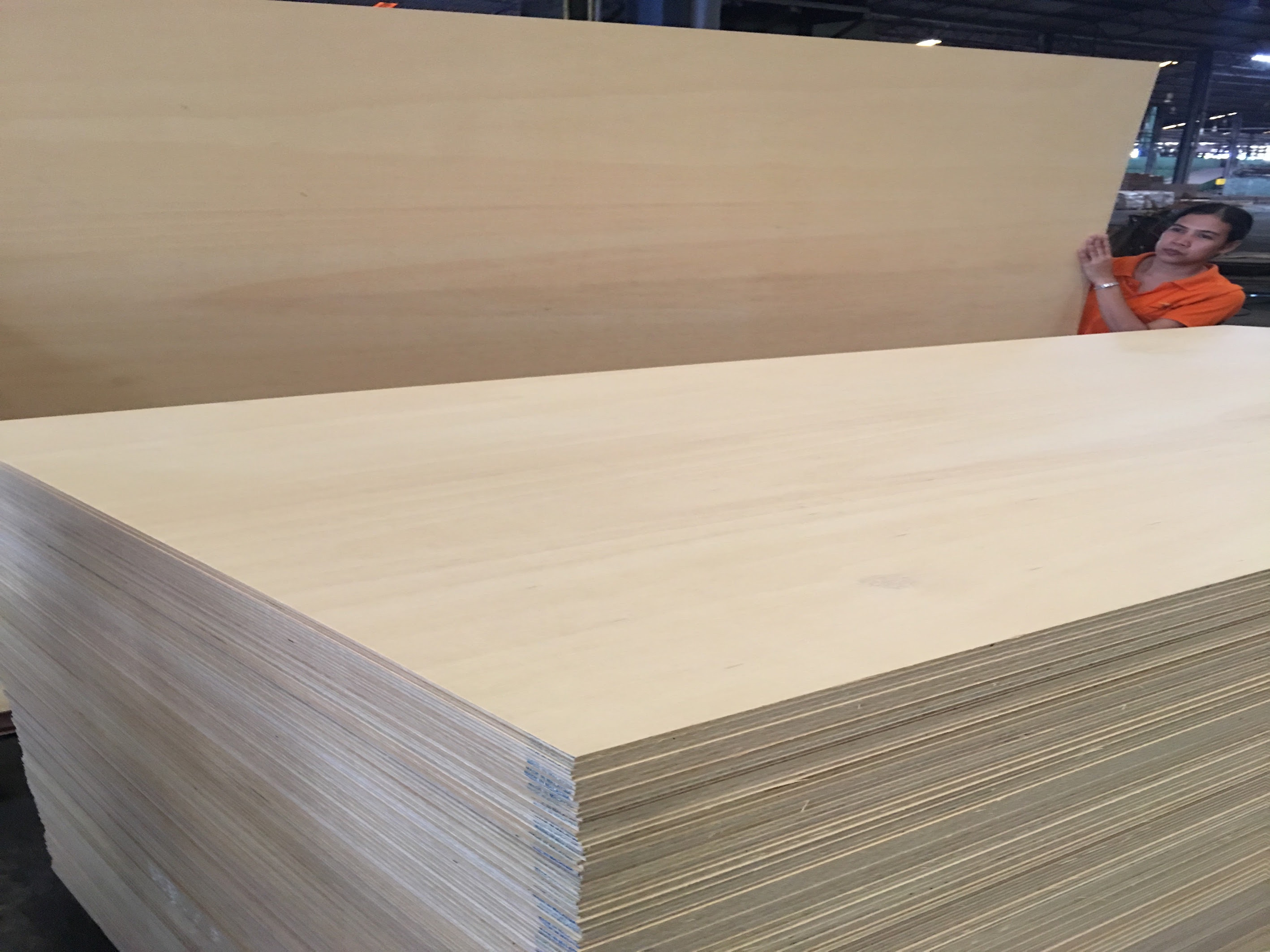 柳安木(LAUAN)-Meranti Wood